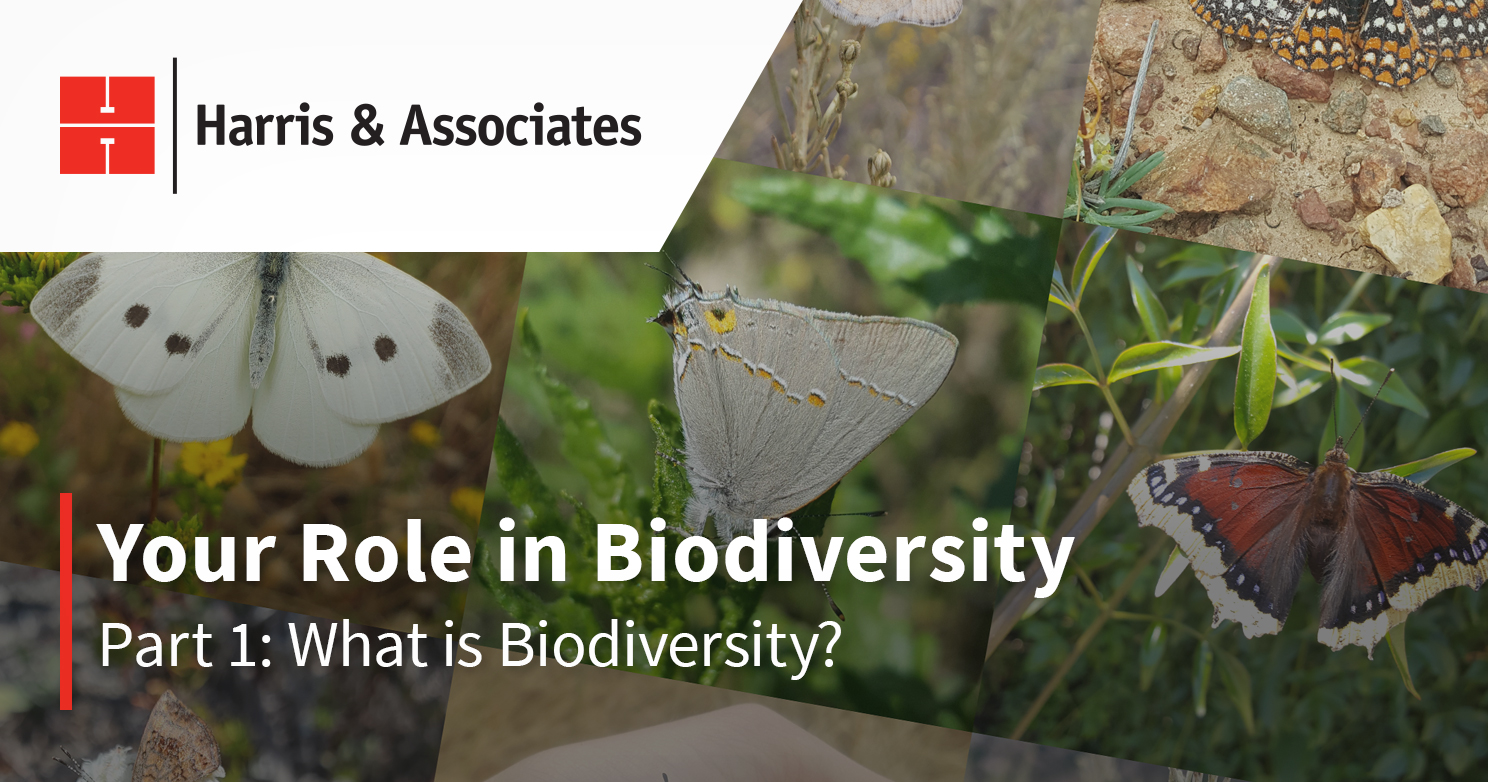 What is Biodiversity? - Harris & Associates