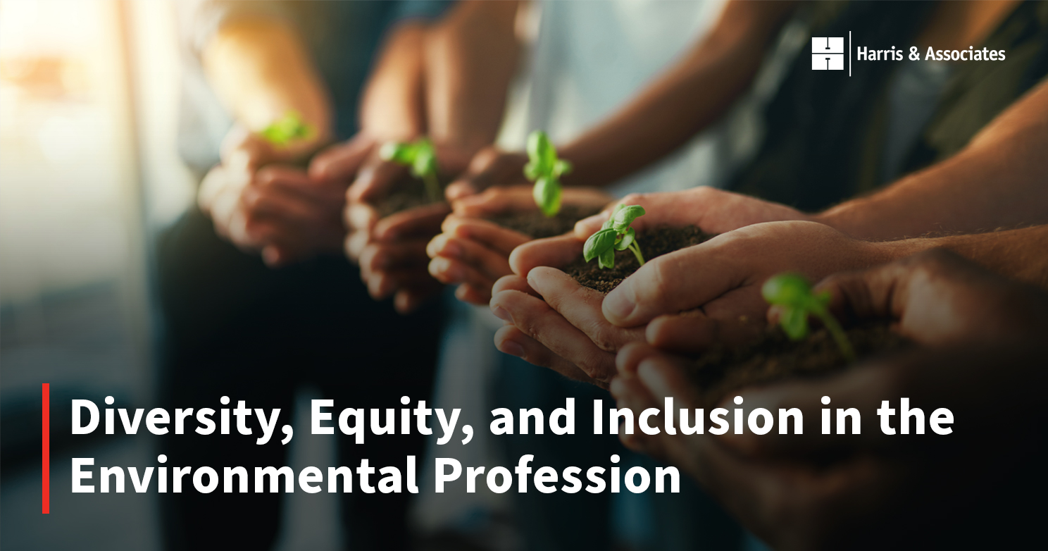 Diversity, Equity, and Inclusion in the Environmental Profession ...